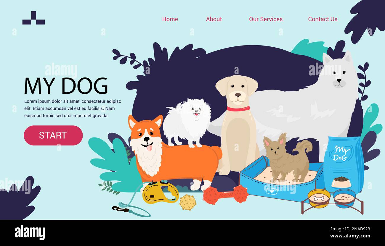 large dogs border set, front view spitz, french mastiff, labrador ...