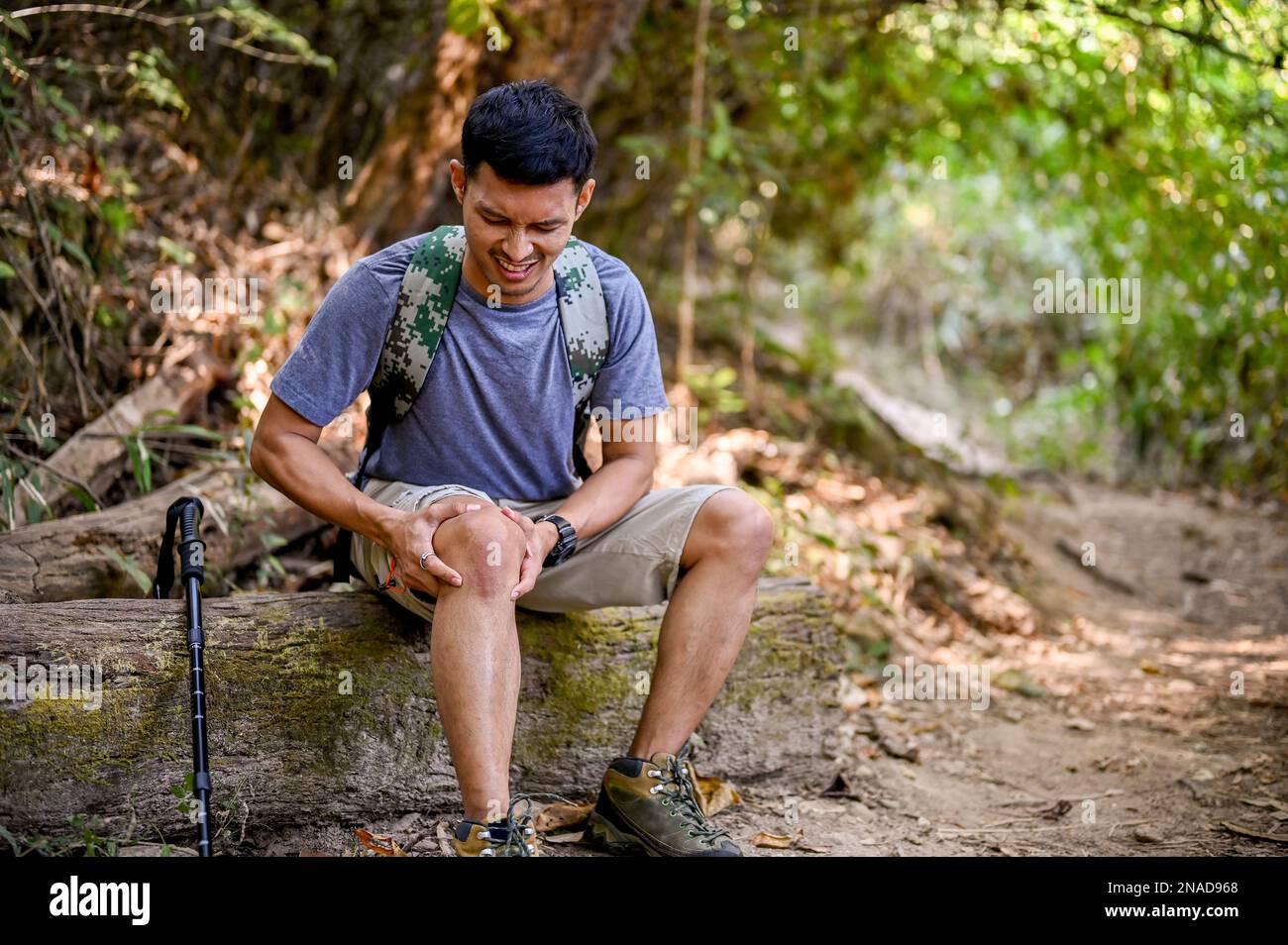 Forest accident hi-res stock photography and images - Alamy