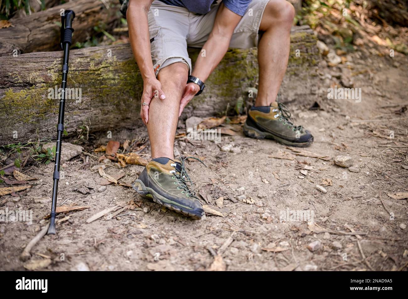 Cropped image of a male trekker sits on a wooden log and massages his ...