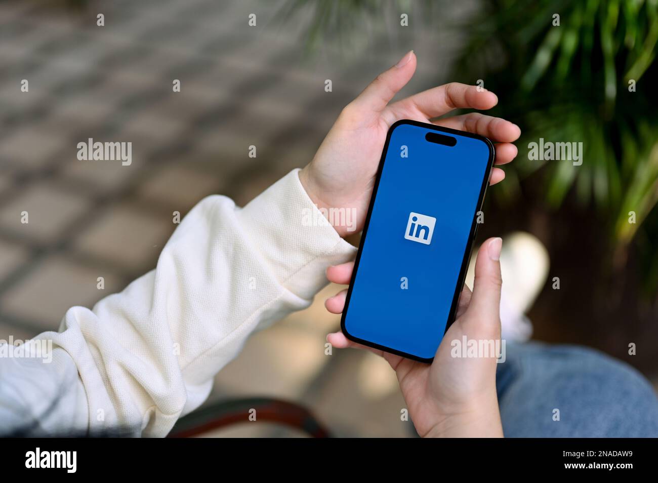 Chiang mai, Thailand - Feb 13 2023: close-up image of a woman's hands ...