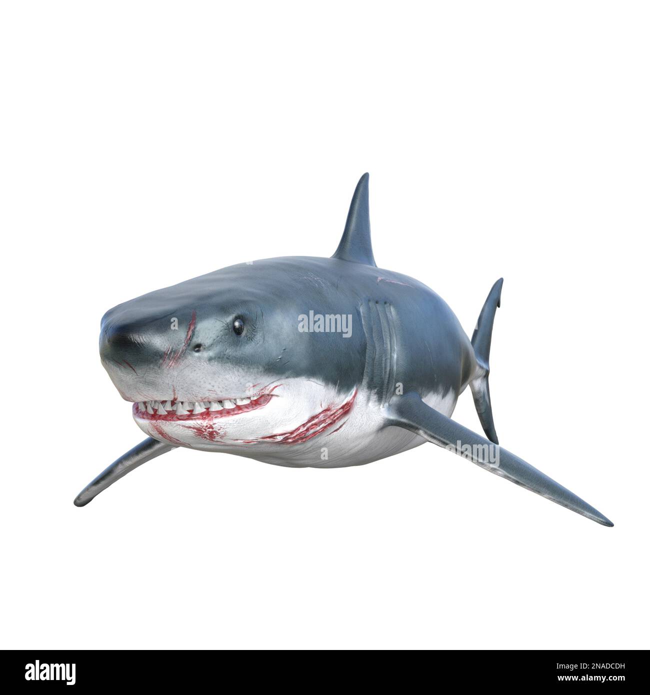 Shark mouth open illustration Cut Out Stock Images & Pictures - Alamy