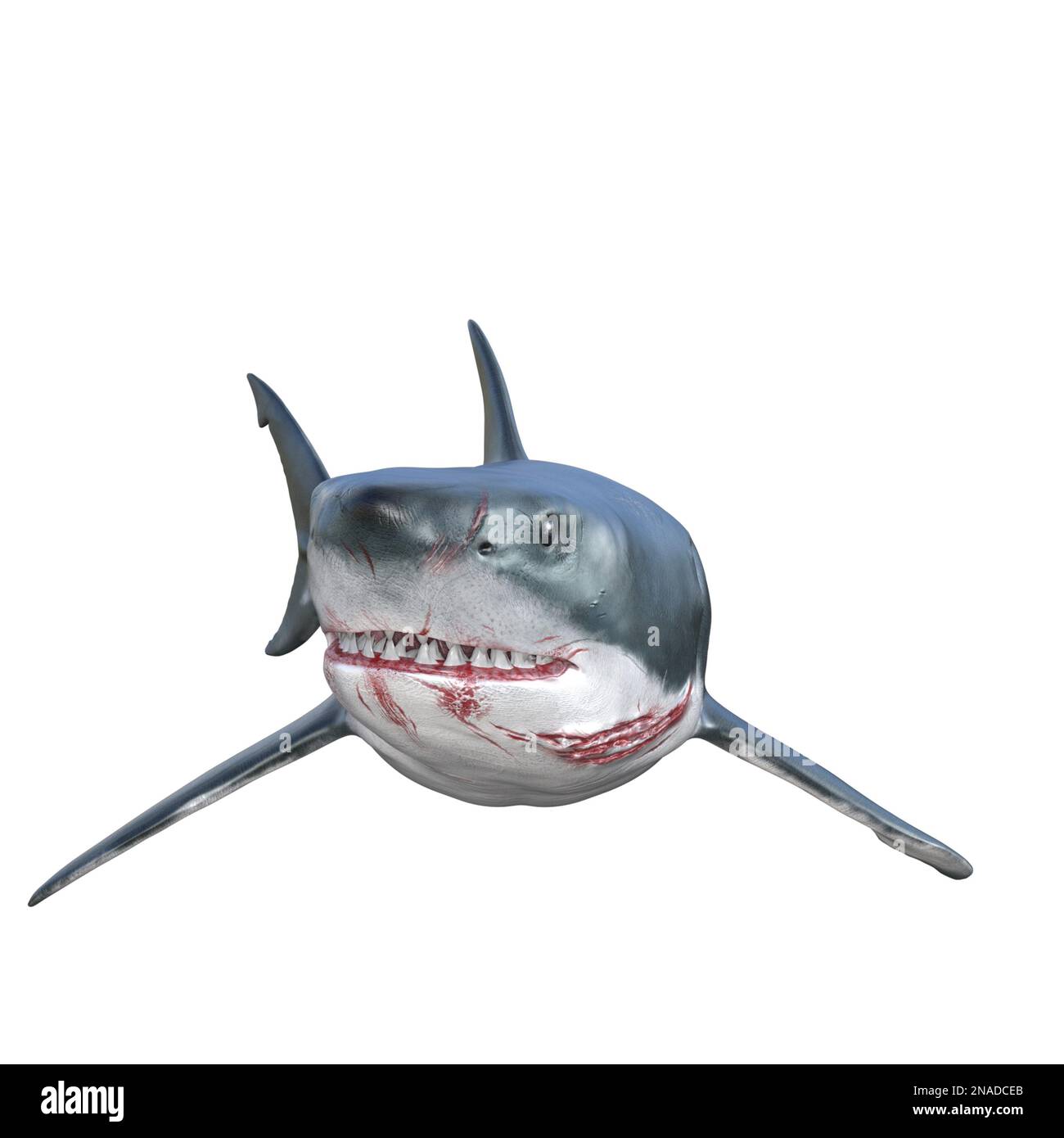 shark marine predator big open mouth. 3D rendering Stock Photo - Alamy