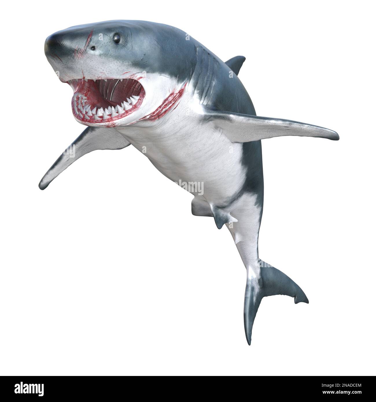 Shark mouth open illustration Cut Out Stock Images & Pictures - Alamy