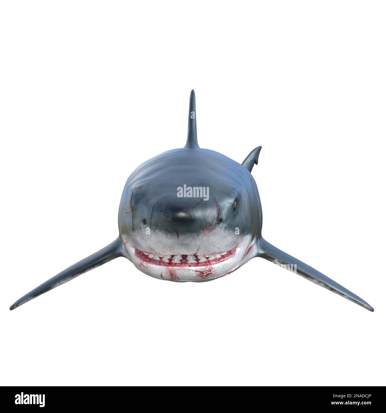 shark marine predator big open mouth. 3D rendering Stock Photo - Alamy