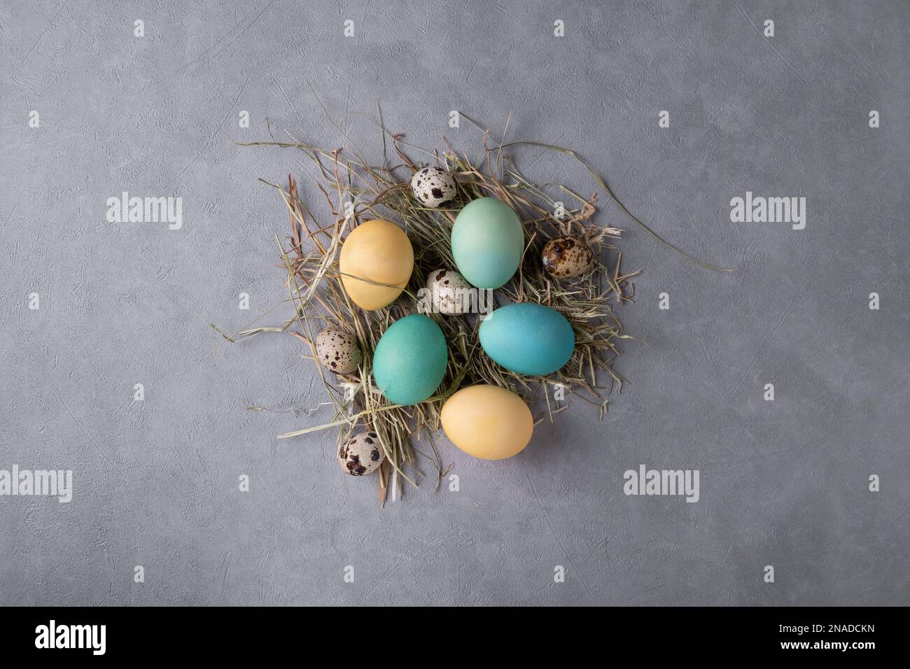 Stylized bird's nest with quail and painted chicken eggs Stock Photo ...