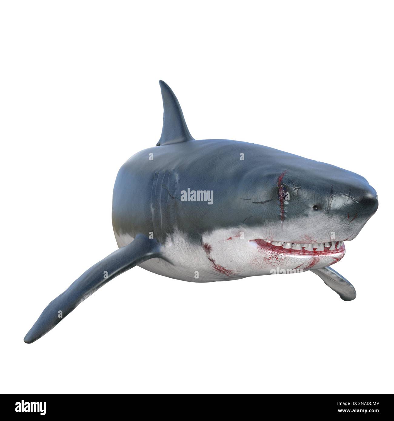 shark marine predator big open mouth. 3D rendering Stock Photo - Alamy