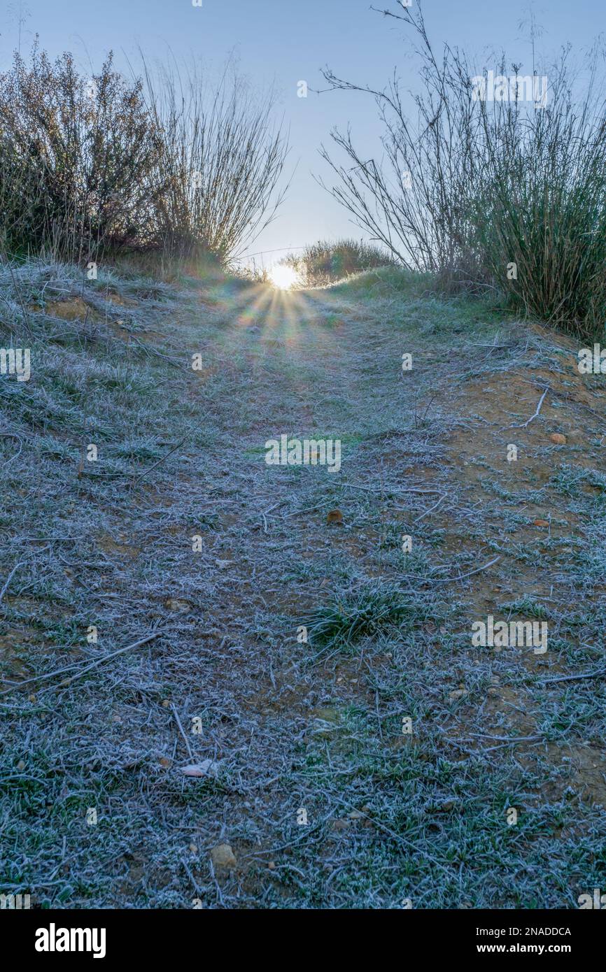 cold dawn in the countryside with the ground freezing and the sun ...