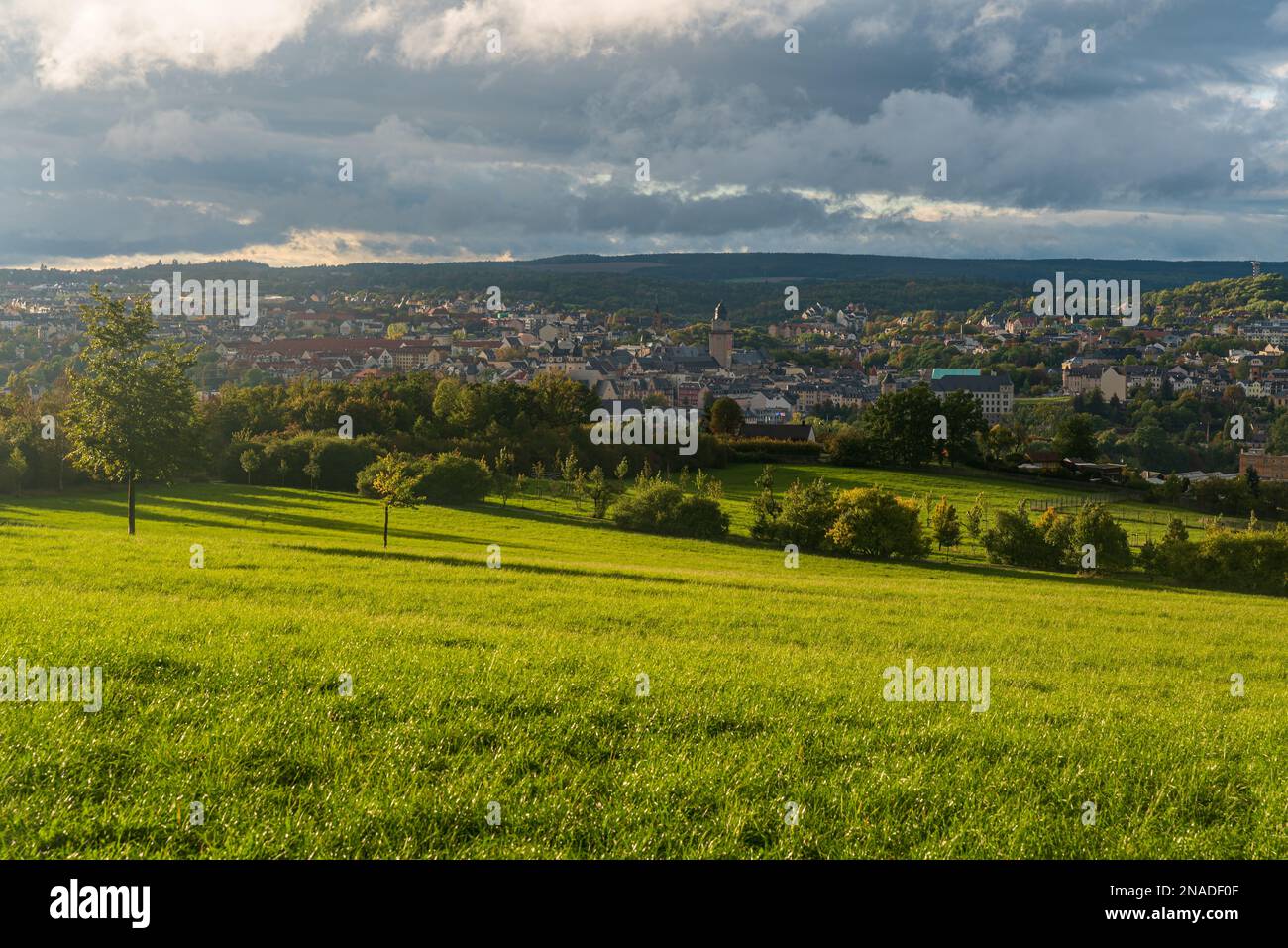 View to Plauen city in Germany from meadow with isolated trees during ...