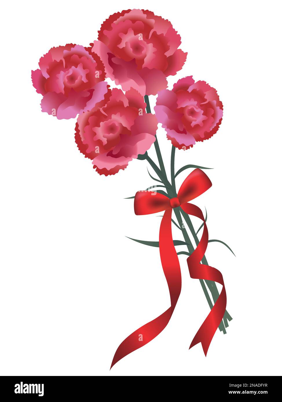 Vector Carnation Bouquet With A Red Ribbon For Mother's Day, Birthday ...