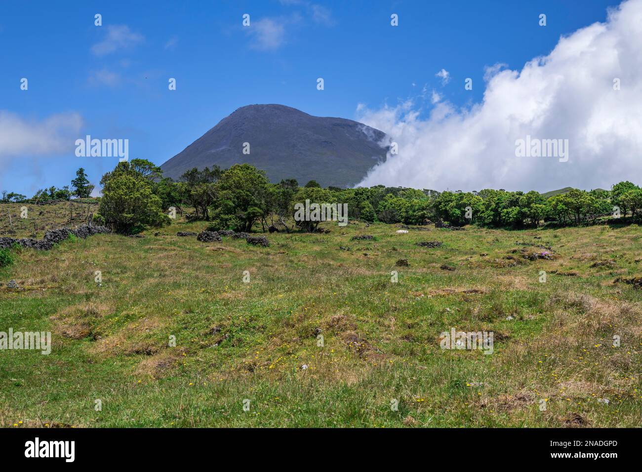 Pico volcano on Pico island, highest mountain in Portugal, Azores Stock ...