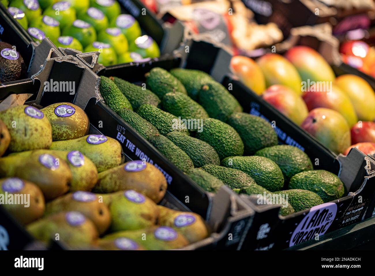 Berlin, Germany. 08th Feb, 2023. Avocado is exhibited alongside pears ...