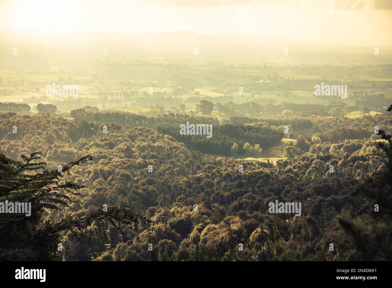Matamata plains view taken from Kaimai Mamaku Lookout, an observation ...