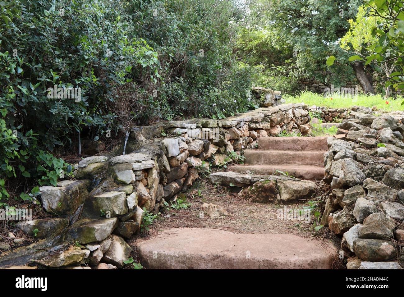 THE STONE STAIRS TO A POND IN THE TECHNION ECOPARK, HAIFA, ISRAEL Stock ...