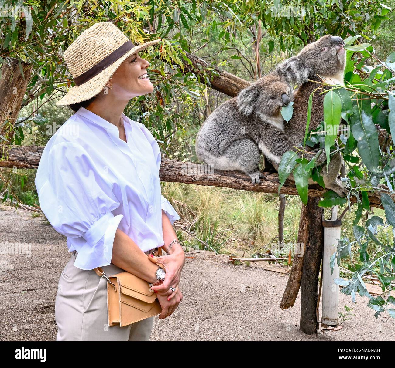 Crown Princess Victoria and Prince Daniel began their official visit to ...