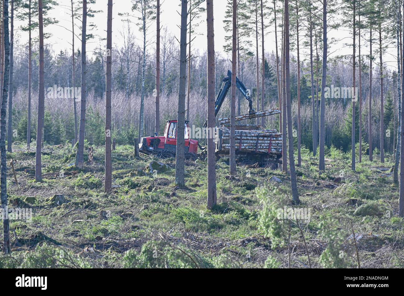 Red forwarder hi-res stock photography and images - Alamy