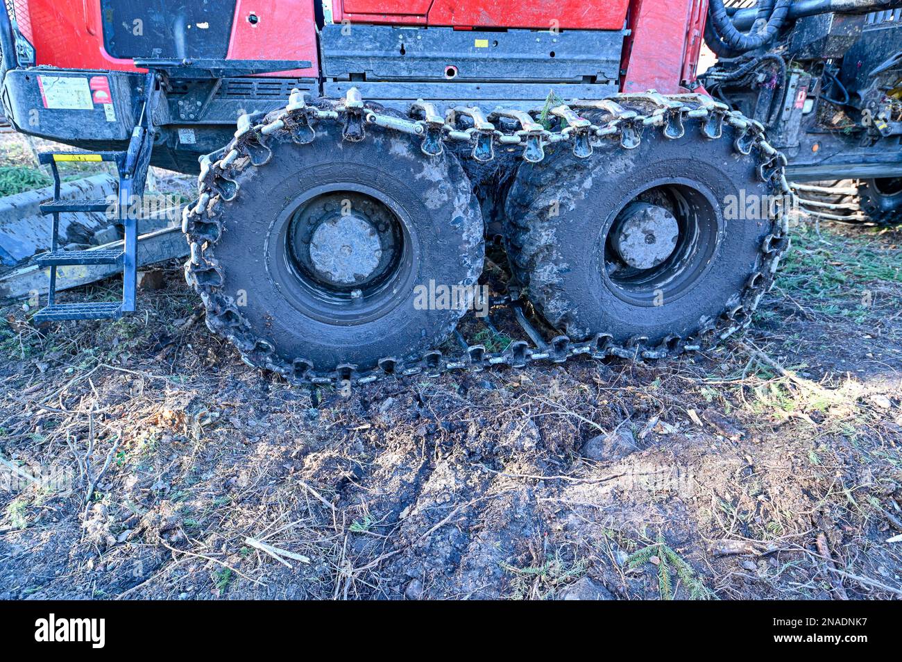 Red forwarder hi-res stock photography and images - Alamy