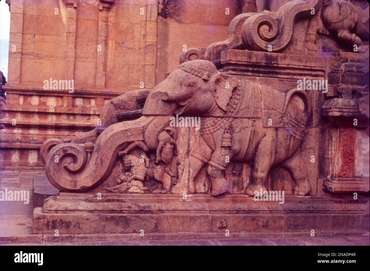 The temple has a massive colonnaded prakara (corridor) and one of the ...