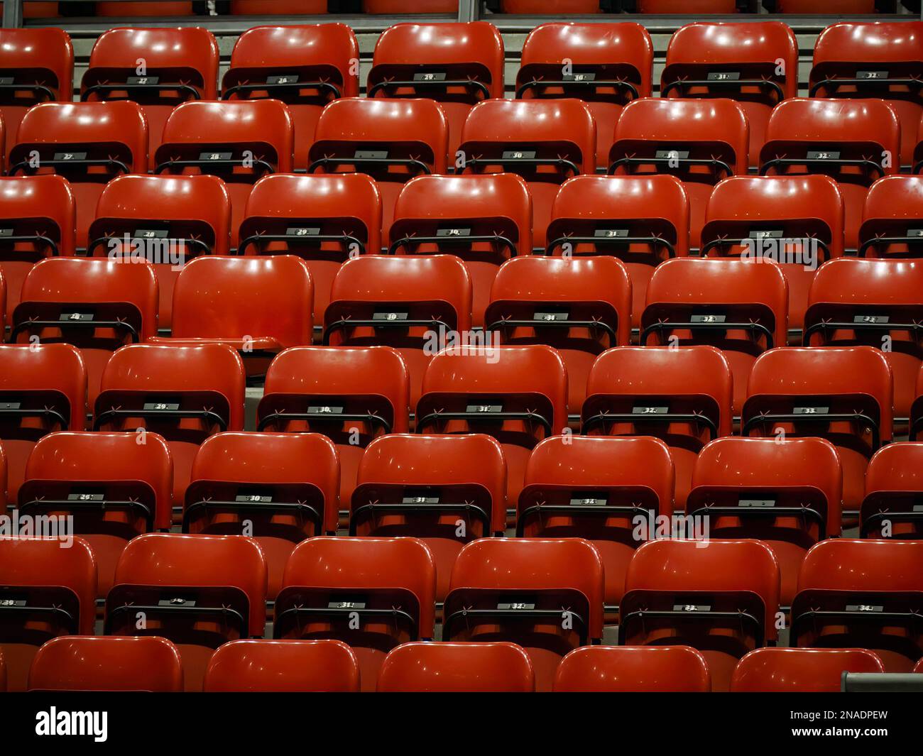 Bright red stadium seats on the stand Stock Photo - Alamy