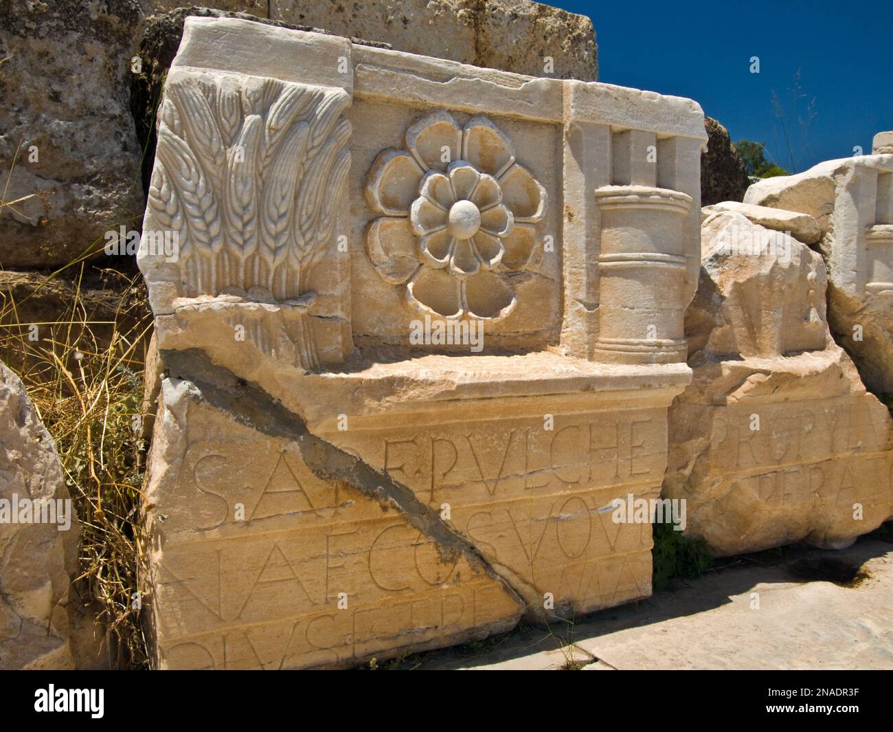 2023 eleusis hi-res stock photography and images - Alamy