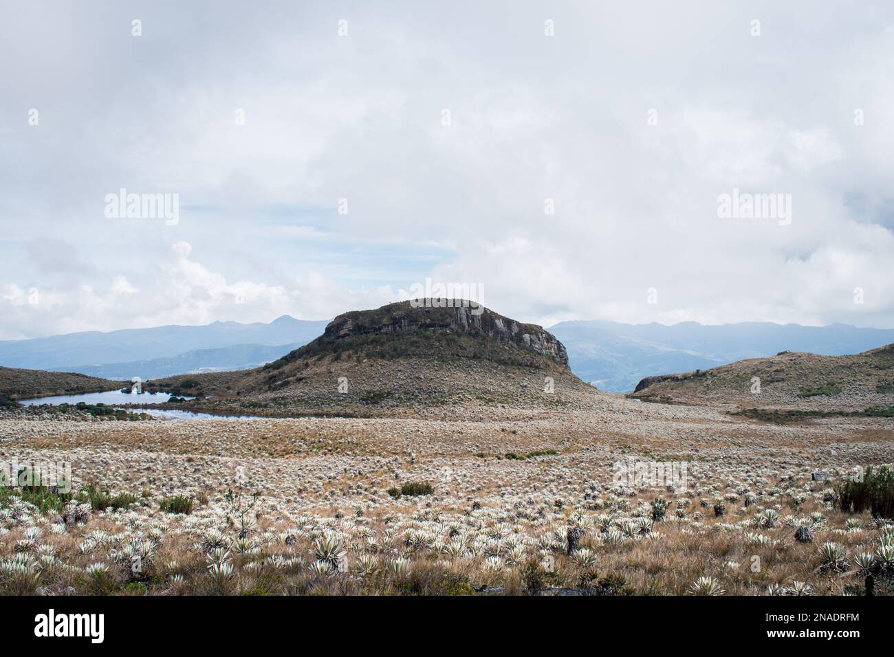 Paramo colombia hi-res stock photography and images - Alamy