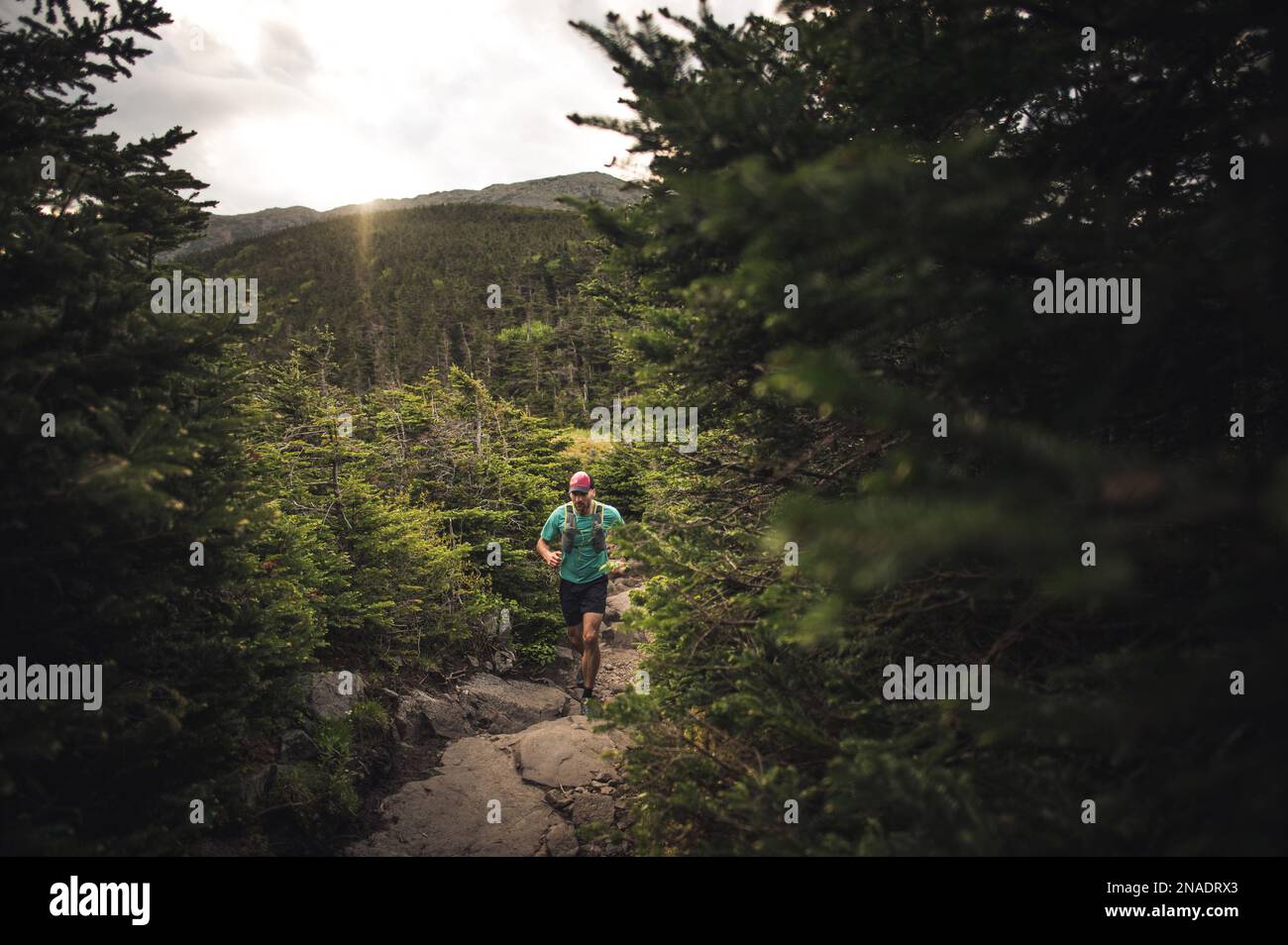 Man running through green forest on path with mountains Stock Photo - Alamy