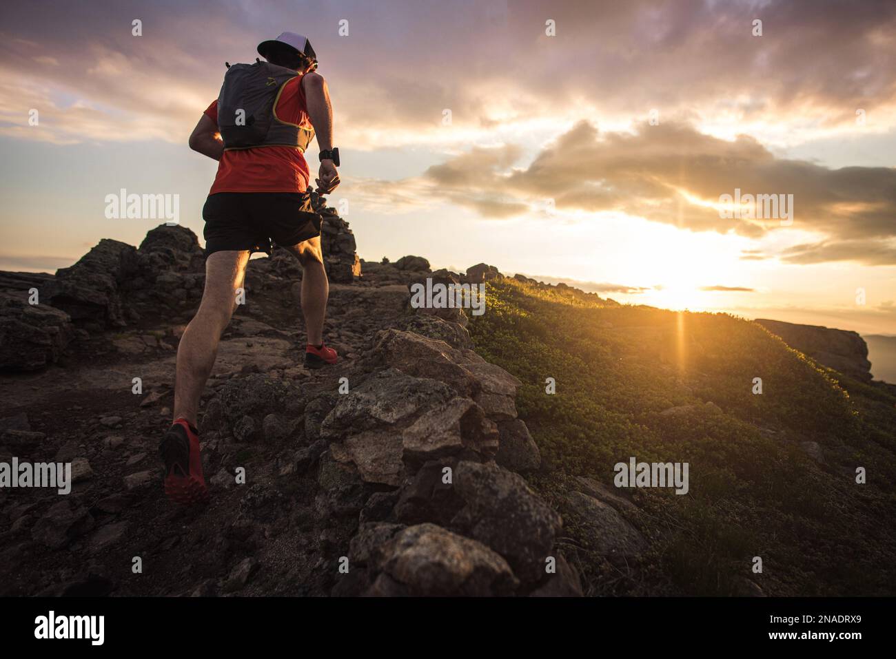 Epic low angle hi-res stock photography and images - Alamy