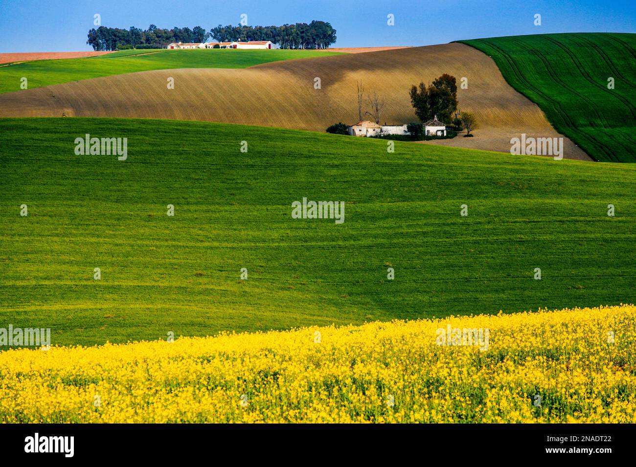 Campi in primavera hi-res stock photography and images - Alamy