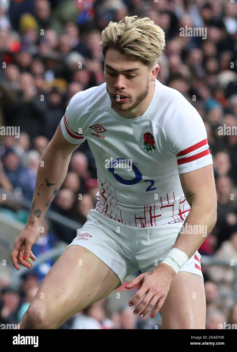 England's Ollie Hassell-Collins(London Irish), with his painted flag ...