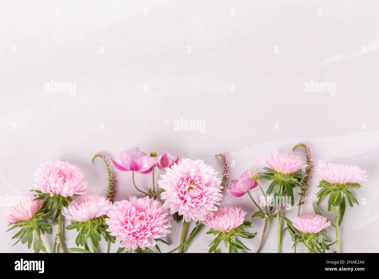 Spring frame of small flowers and daisy, floral arrangement Stock Photo ...