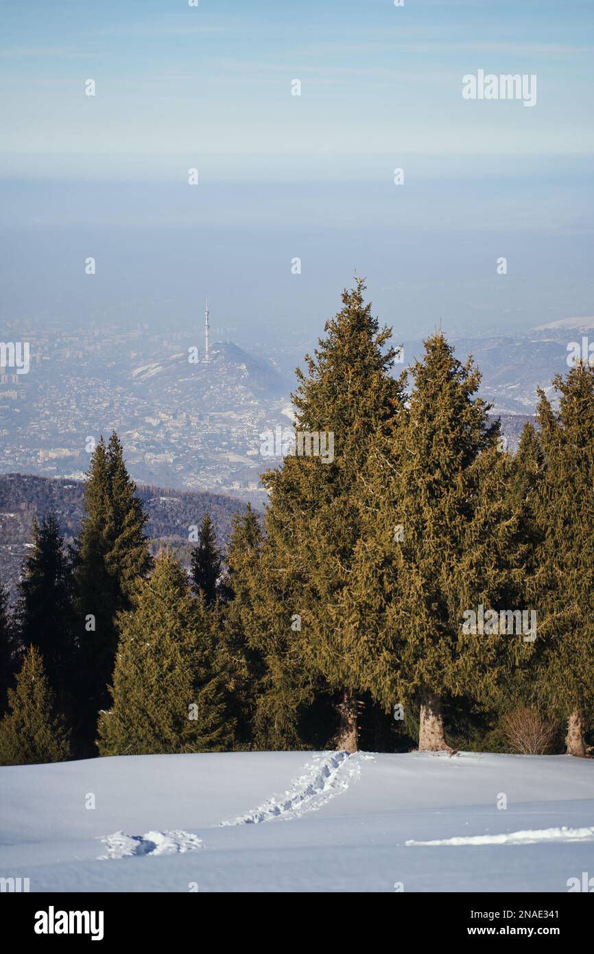 View from a clear forest to a city covered in smog Stock Photo - Alamy