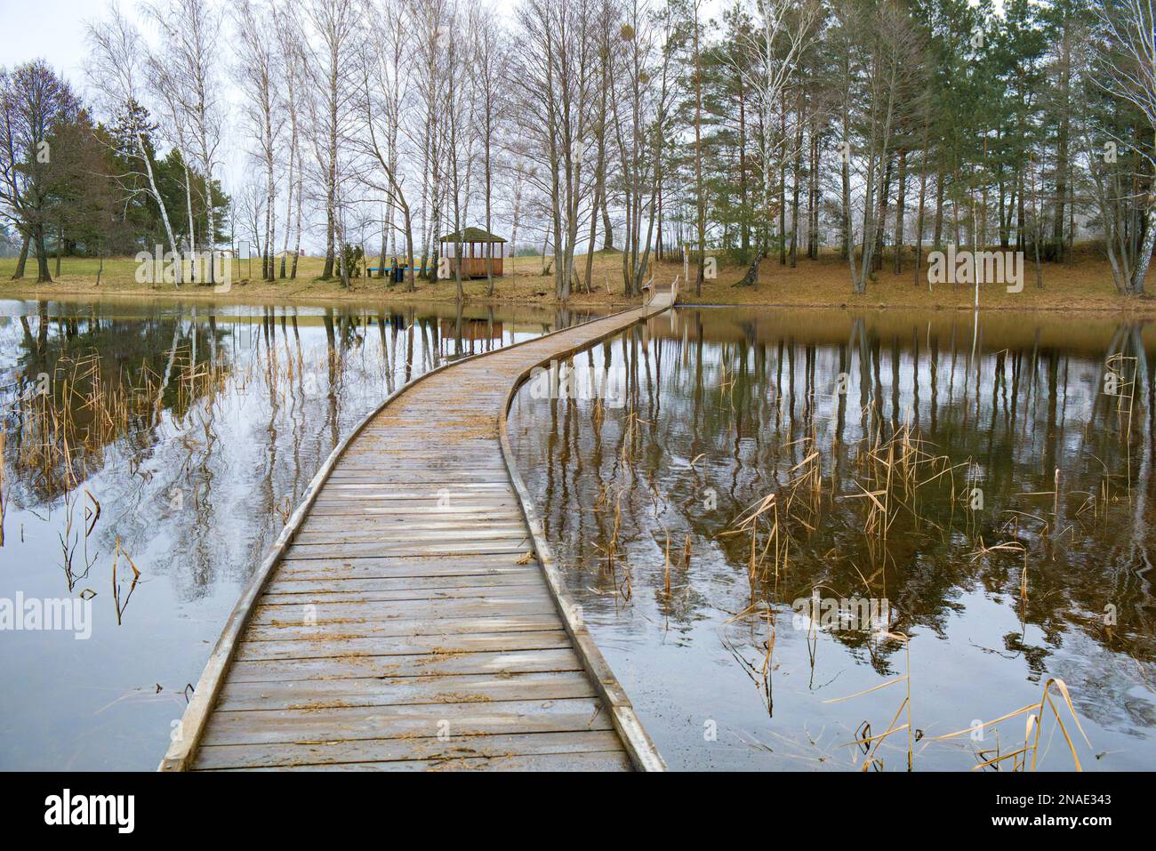 autumn landscape body of water forest trail river Stock Photo - Alamy