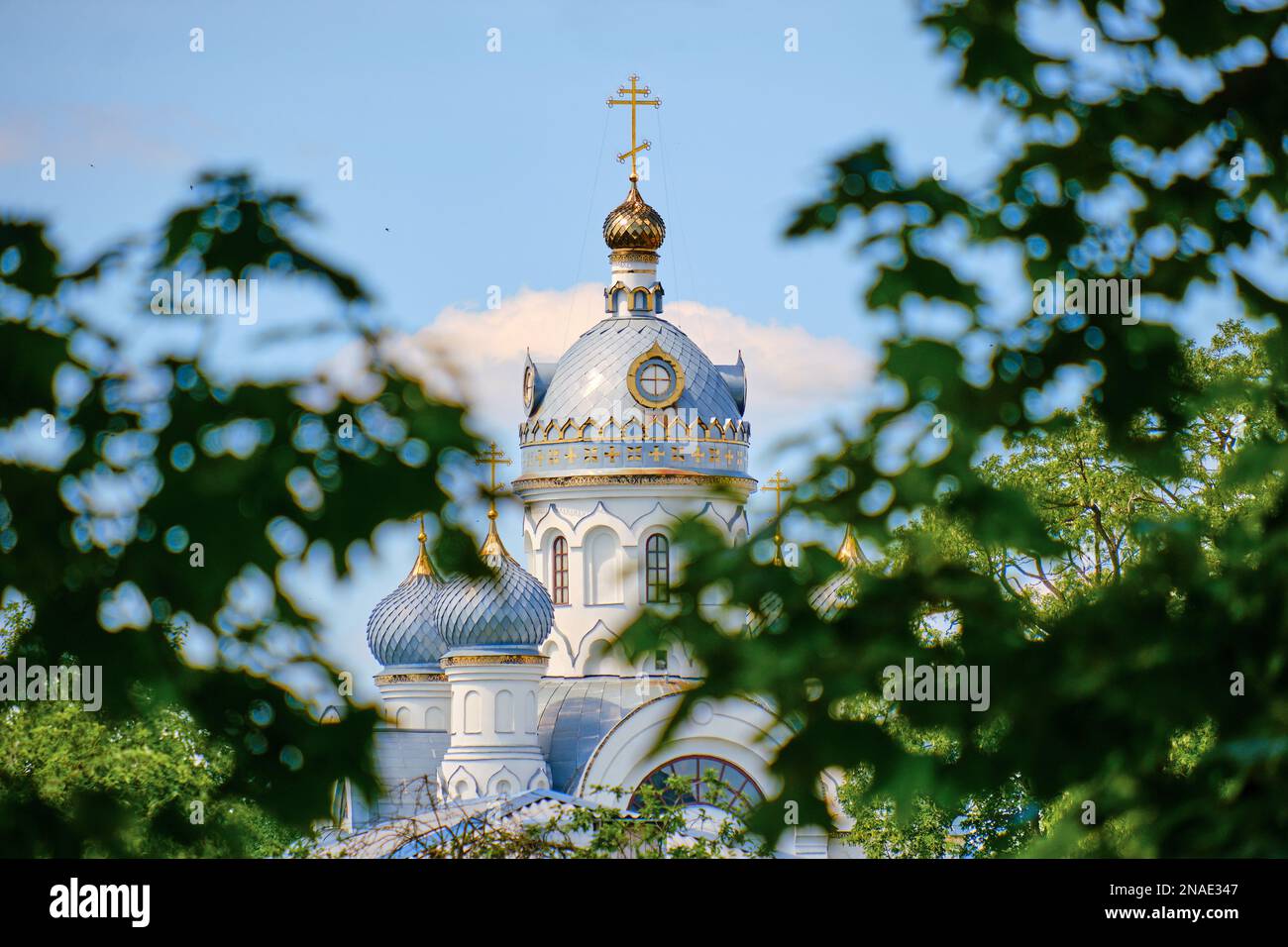 view of an orthodox church through the leaves of a tree Stock Photo - Alamy