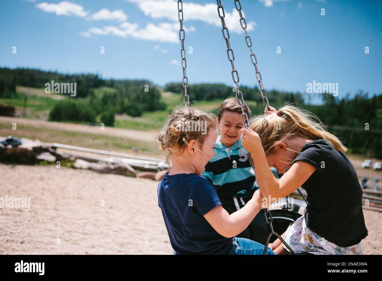 Cousin children laugh and have fun on tire swing in summer Stock Photo ...