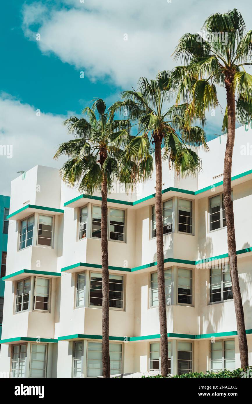 trees on the beach beautiful place Miami Beach Stock Photo - Alamy