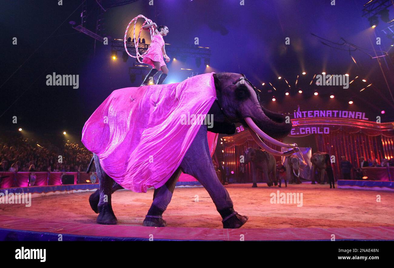 In this Tuesday, Jan. 24, 2012 photo, an acrobat of "Rene Cassely ...