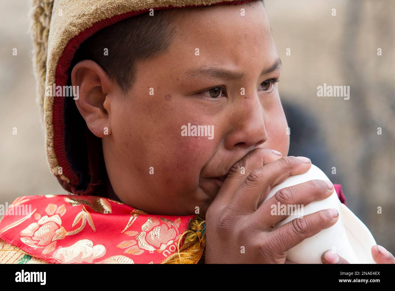 Monk shell hi-res stock photography and images - Alamy