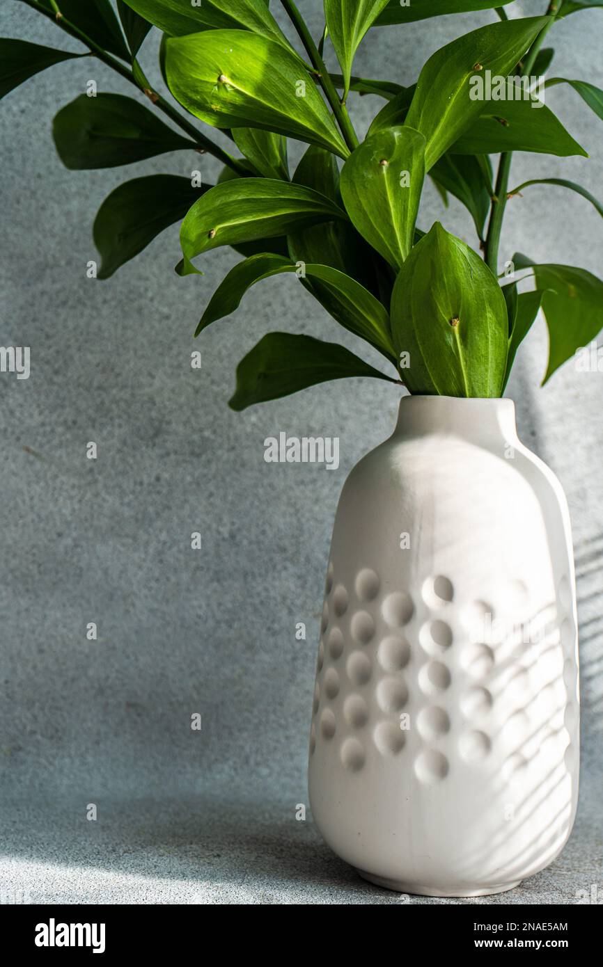 Italian ruscus hi-res stock photography and images - Alamy