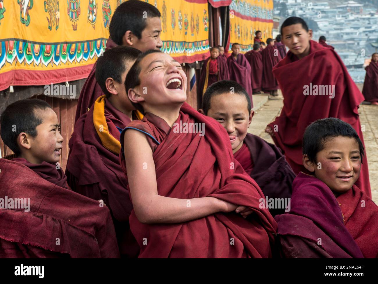 Young monks laughing Stock Photo - Alamy