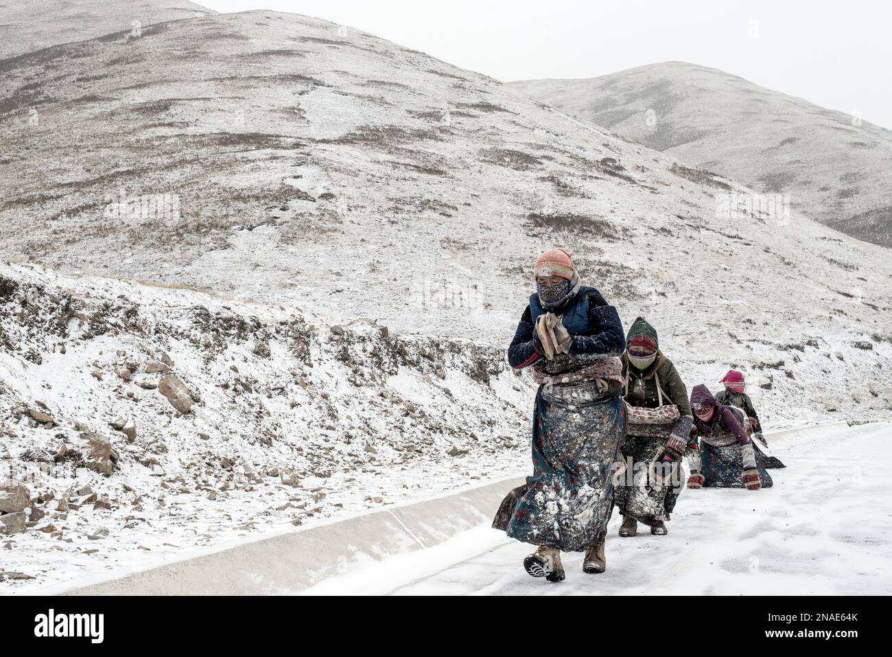 Pilgrims prostrating their way through the snow to Lhasa Stock Photo ...