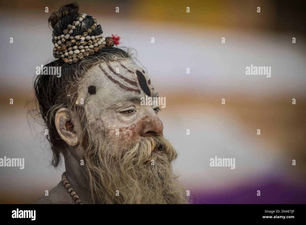 Sadhu with face painted with ashes Stock Photo - Alamy