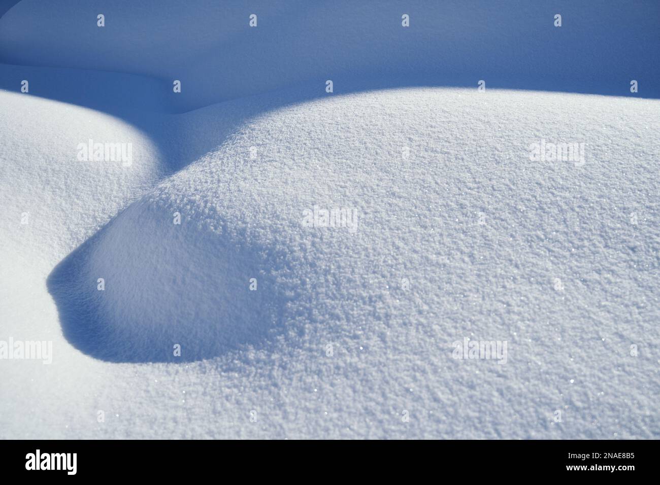 Minimalistic winter landscape with tree snow and blue sky hi-res stock ...