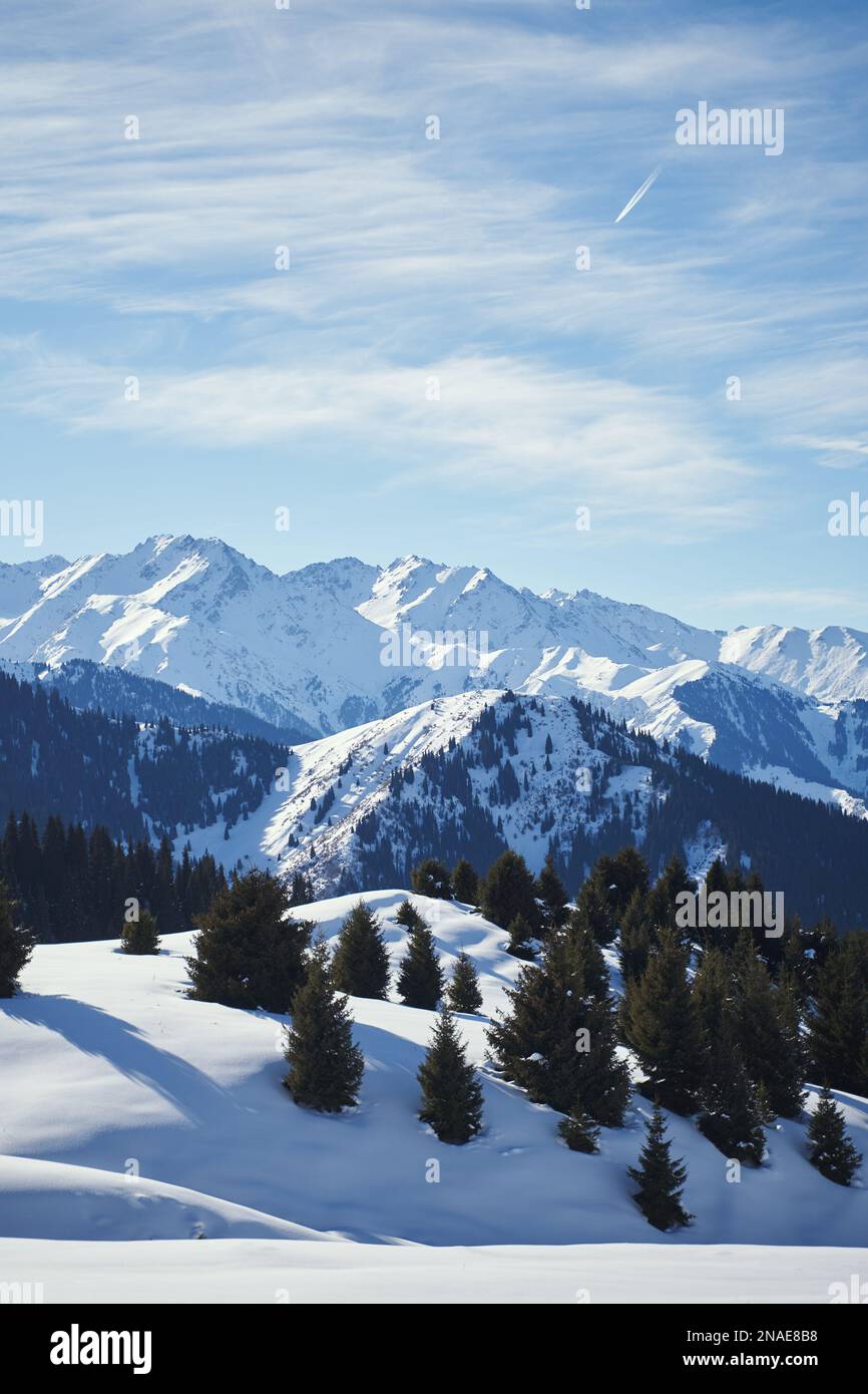 Classic vertical mountain winter landscape with forest Stock Photo - Alamy