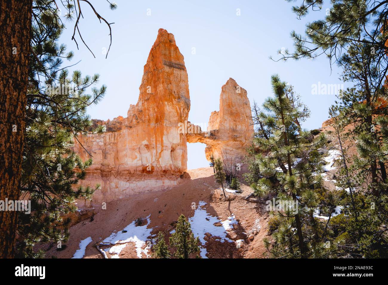 Bryce Canyon National Park fairy tale loop arch Stock Photo - Alamy