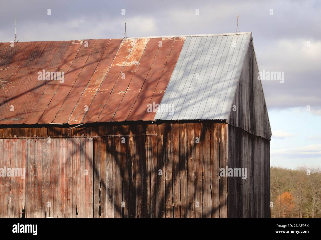 Distressed Barn with Rusted Tin Roof and tree Shadow in Fall Stock ...