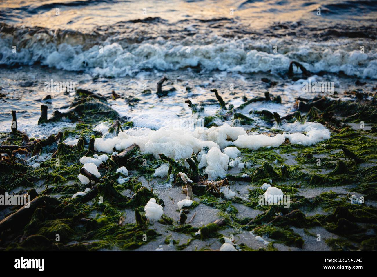 Beach foam hi-res stock photography and images - Alamy