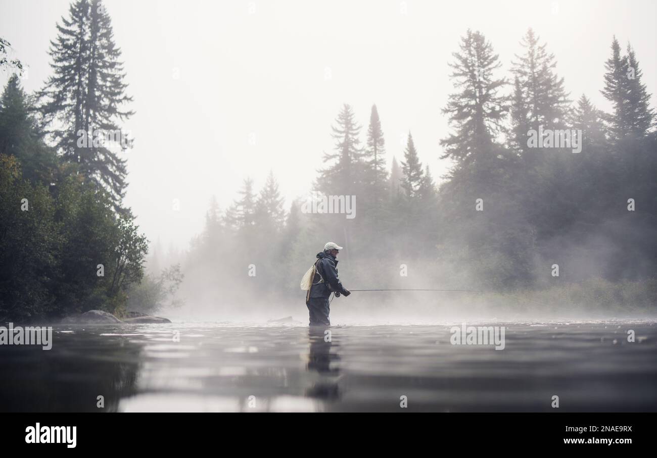 A man fly fishing in fog with trees behind Stock Photo - Alamy