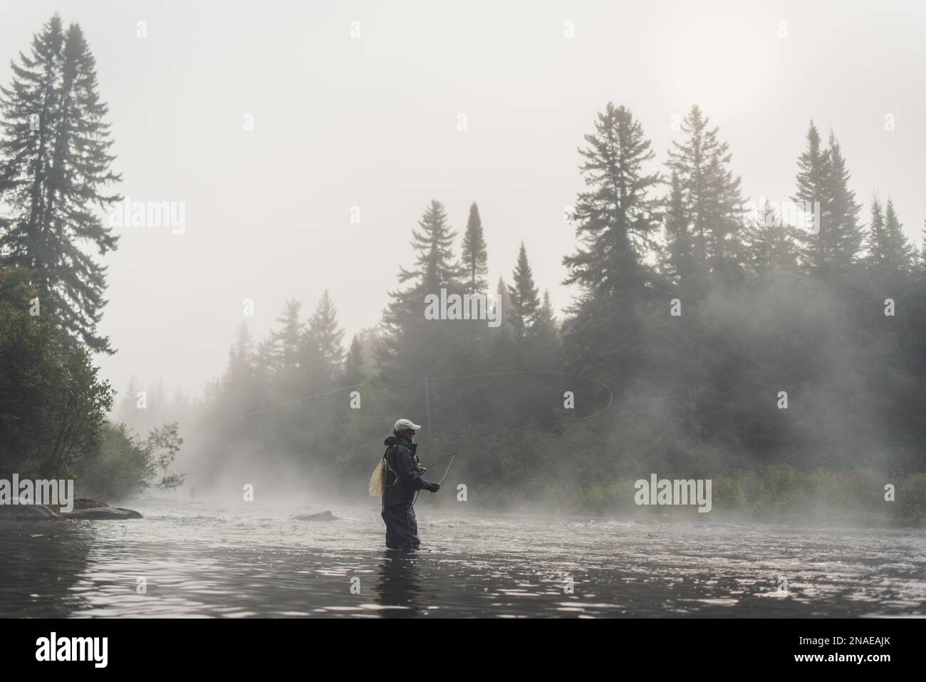 Man fly fishing in fog with trees behind him in morning Stock Photo - Alamy
