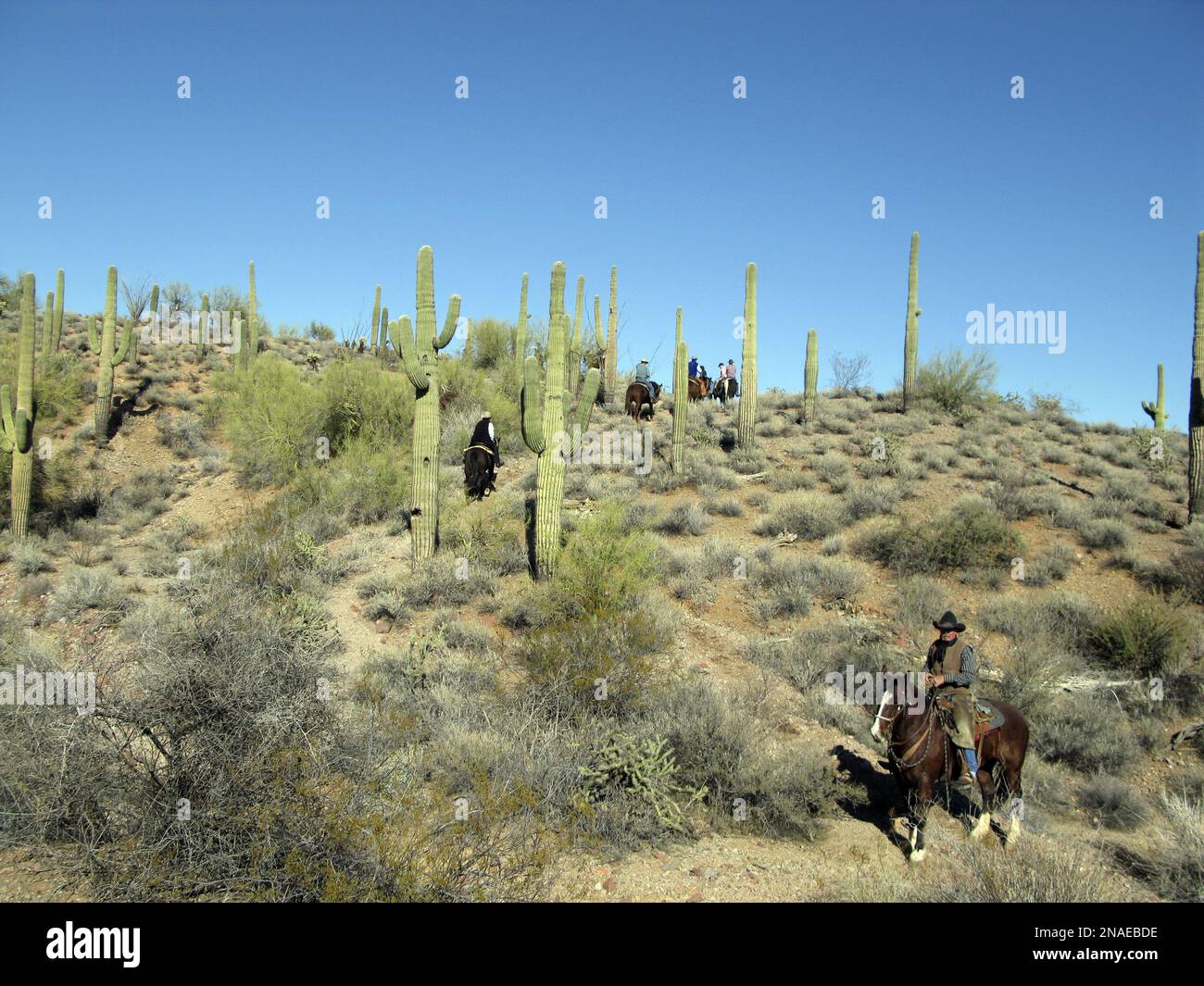 This Dec. 24, 2011 photo shows a trail ride on horseback at Rancho de ...