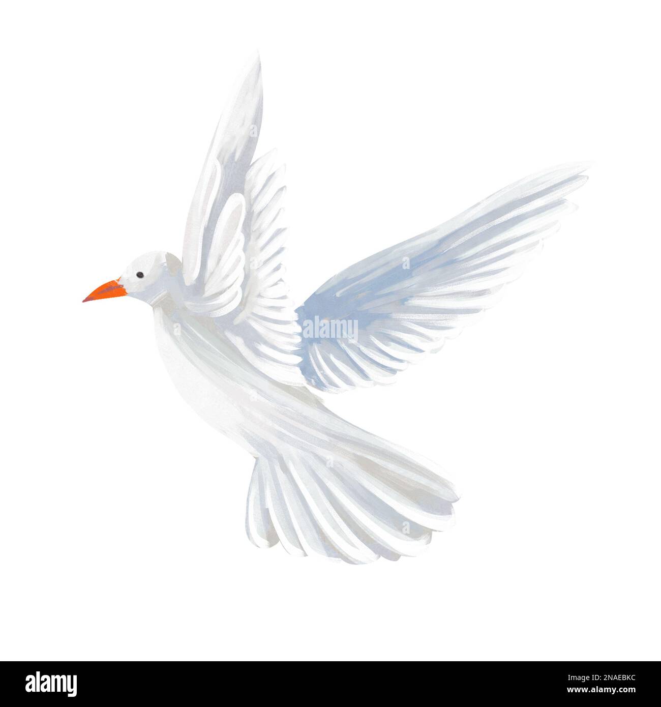 Watercolor illustration of flying white doves Stock Photo - Alamy