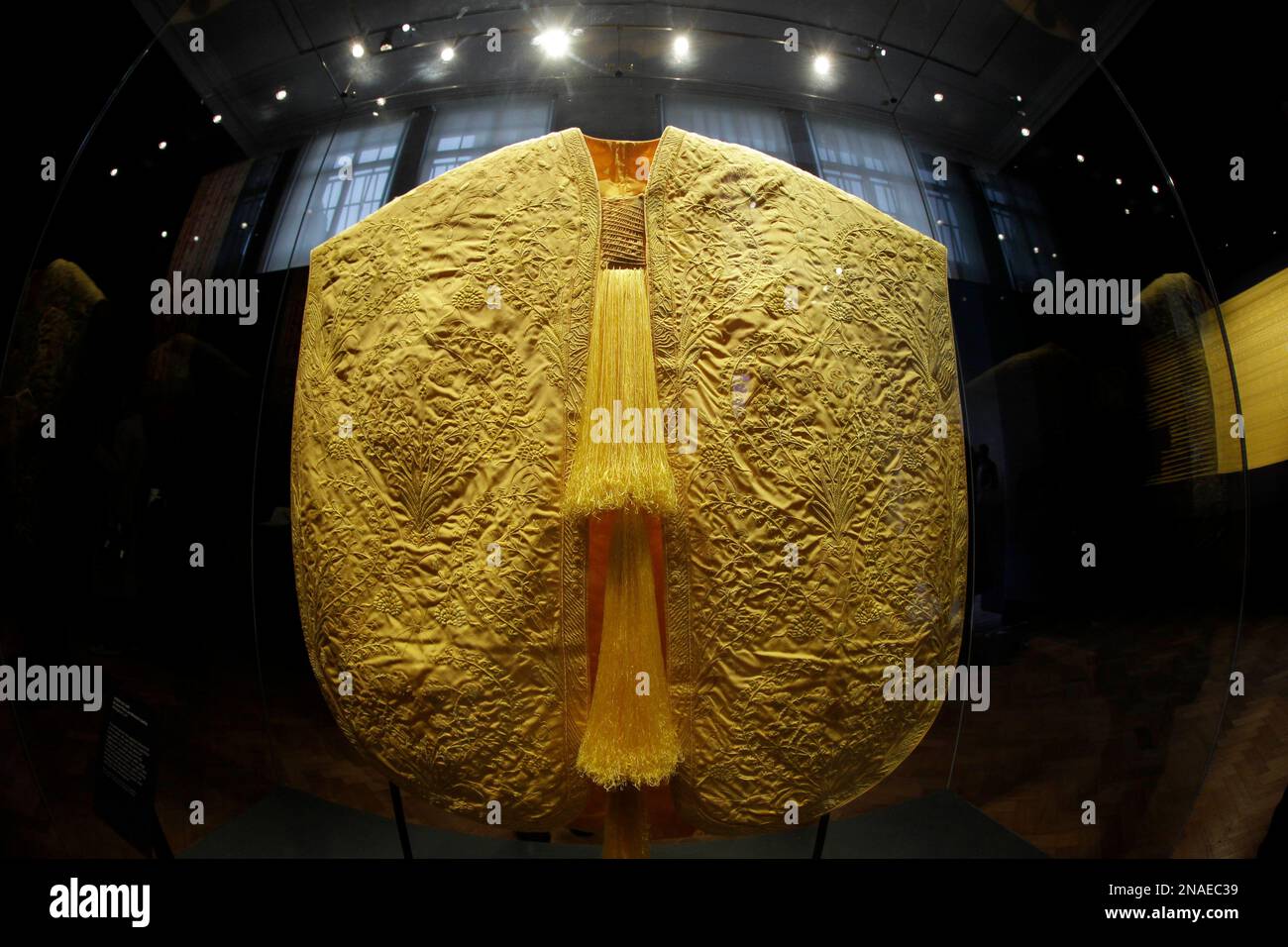 Taken with a fisheye lens, a spider silk cape, designed by Simon Peers ...